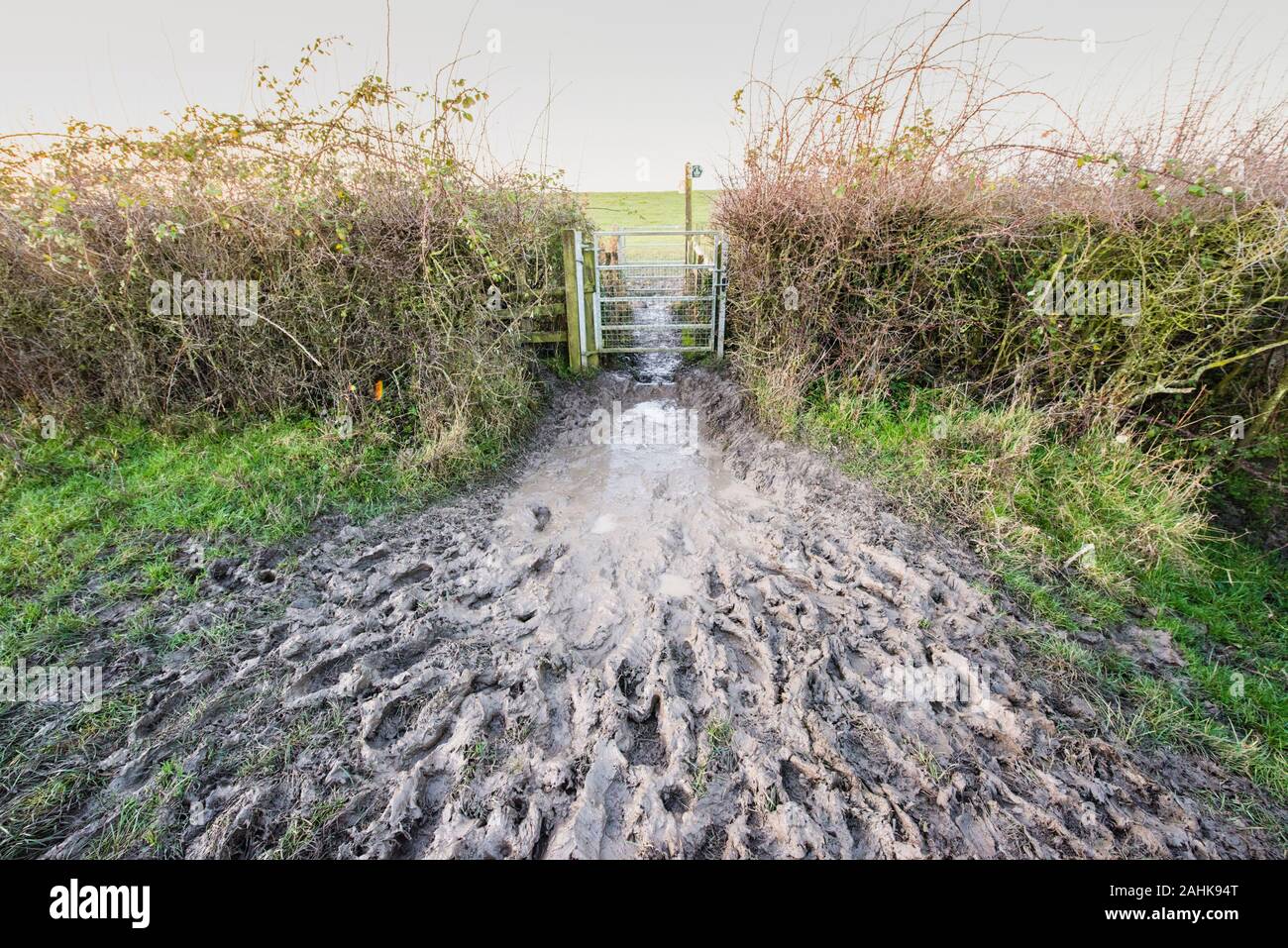 Public Footpath Across A Field High Resolution Stock Photography and ...