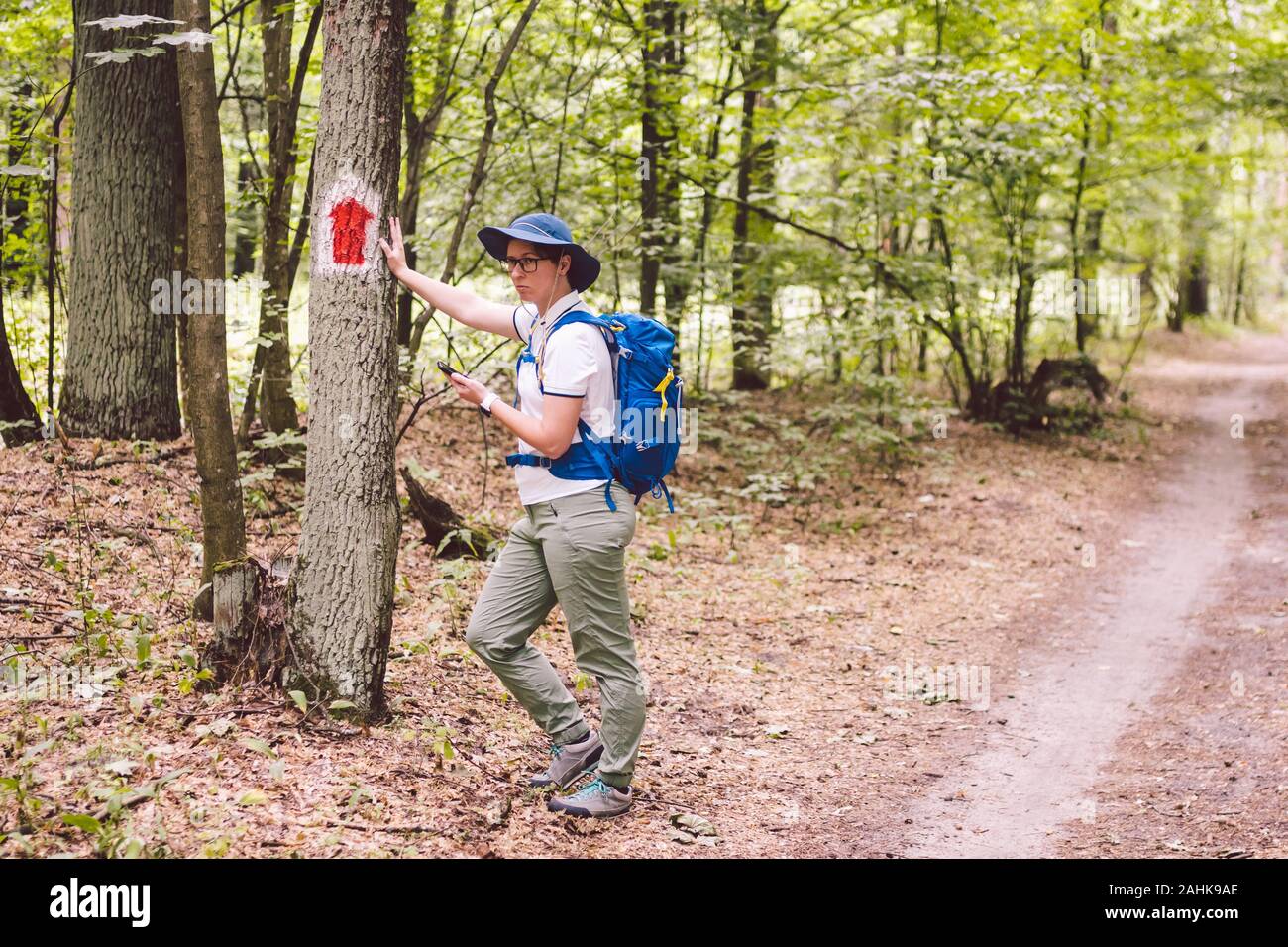 Hiking marked trail in the forest. Marking the tourist route painted on ...