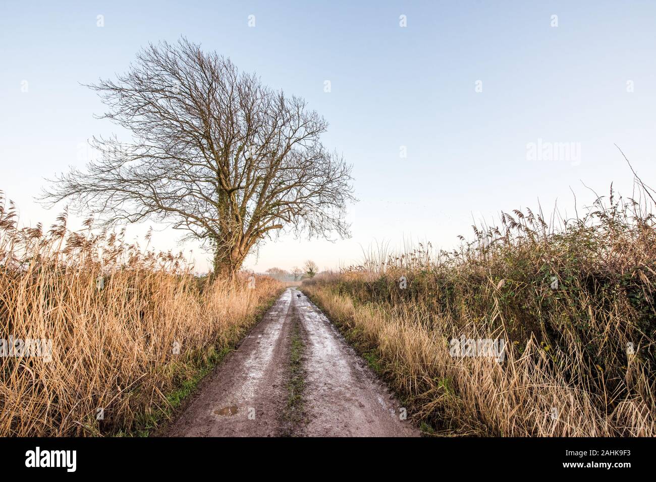 Pale farmer hi-res stock photography and images - Alamy
