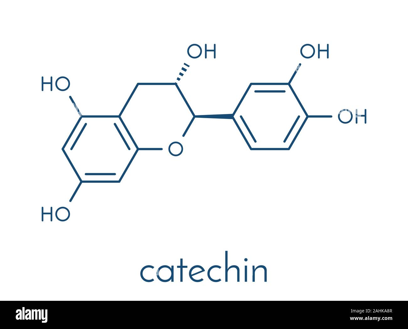 Catechin herbal antioxidant molecule. Skeletal formula Stock Vector ...