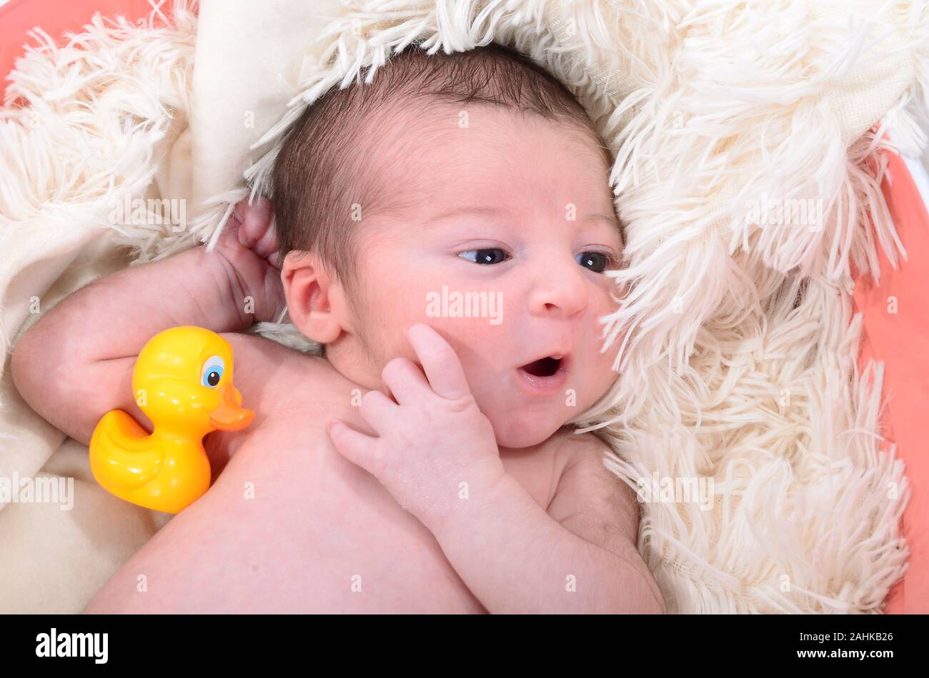 First born syndrome hi-res stock photography and images - Alamy