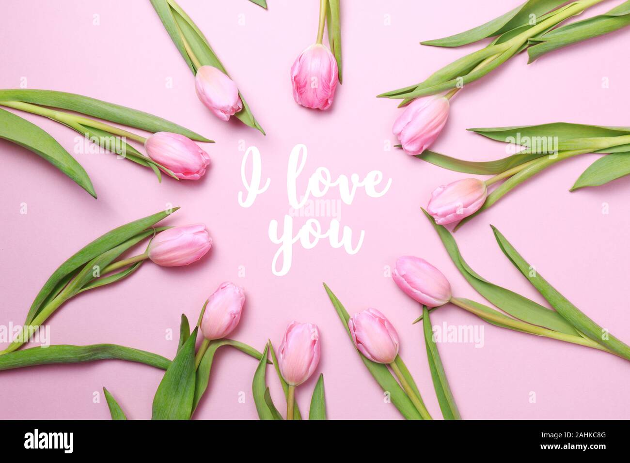 I love you wording with pink tulips on the pink background. Flat lay ...