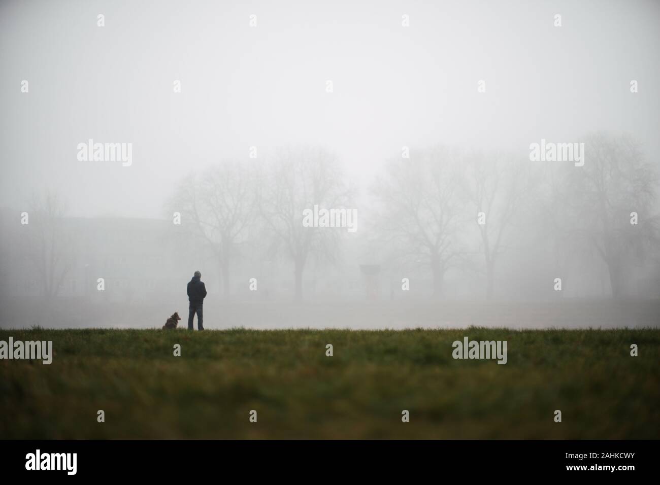symbol of true friendship with man and dog Stock Photo - Alamy