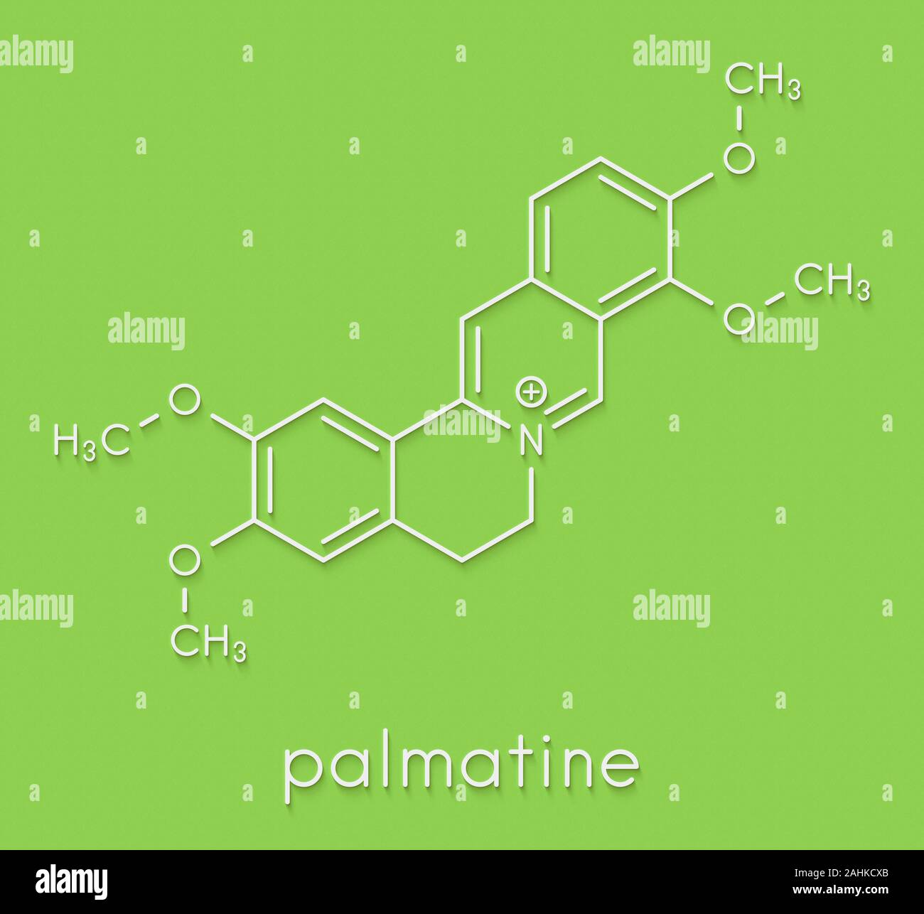 Palmatine hi-res stock photography and images - Alamy
