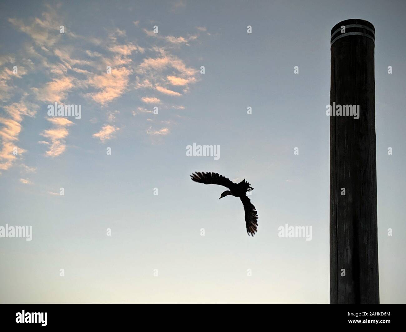 Sunrise symbolism hi-res stock photography and images - Alamy