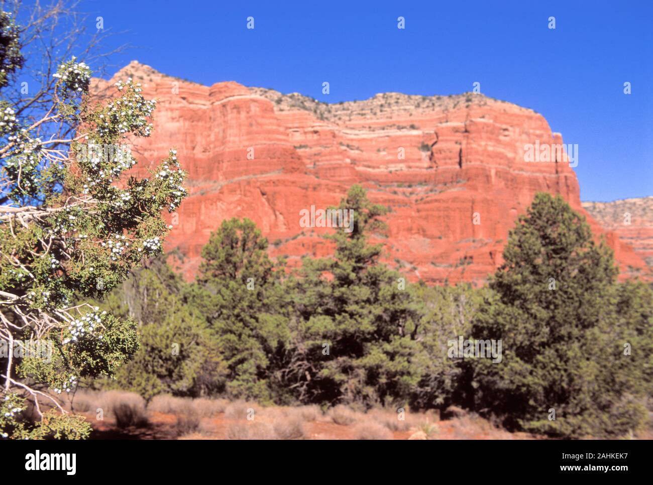 Courthouse Butte, Sedona, Arizona Stock Photo - Alamy