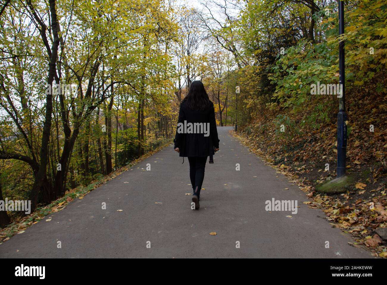 walking in the forest of Prague Stock Photo - Alamy