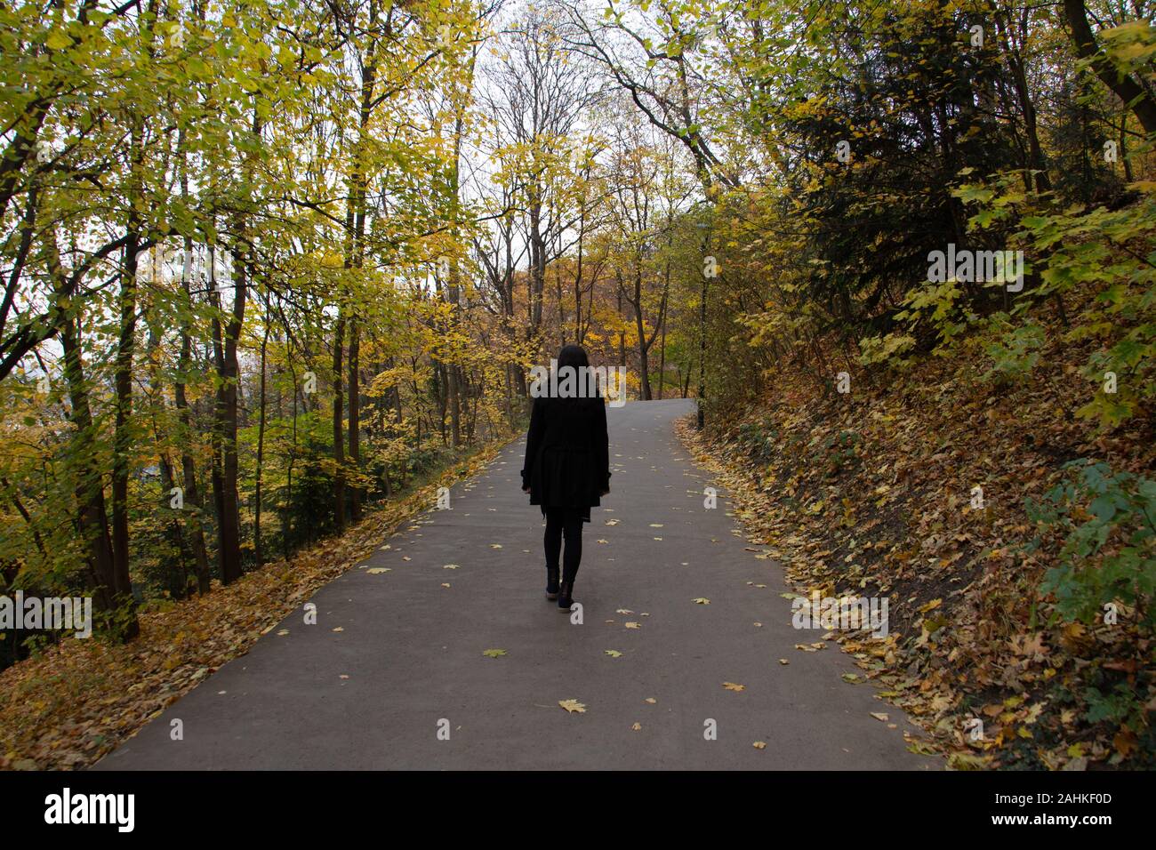 walking in the forest of Prague Stock Photo - Alamy