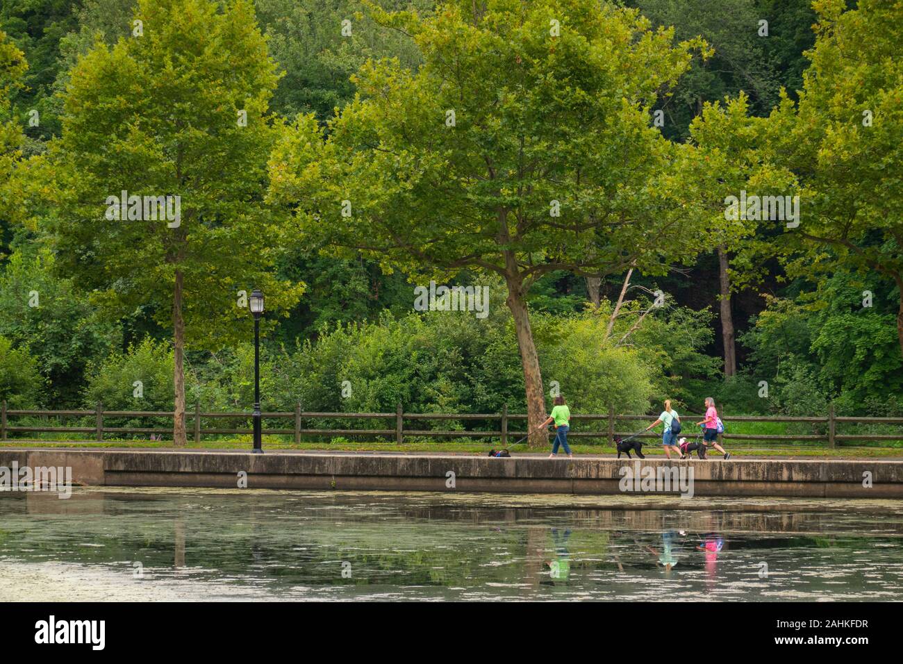 Victorian forest hi-res stock photography and images - Alamy