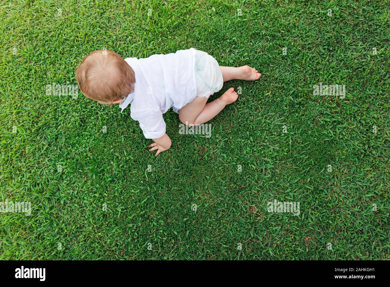 Adorable little baby crawling on green grass Stock Photo - Alamy