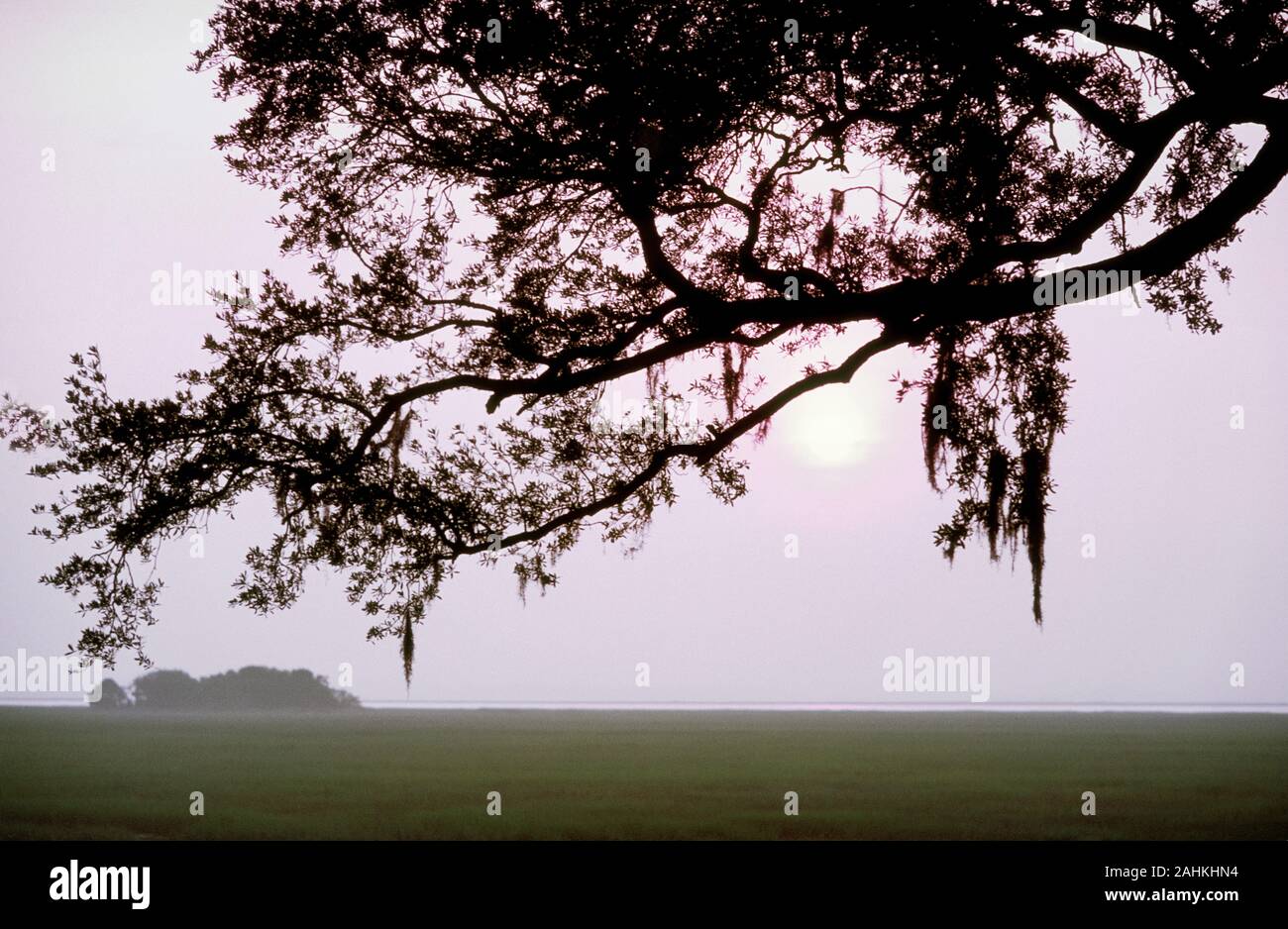 Expansive scenes hi-res stock photography and images - Alamy