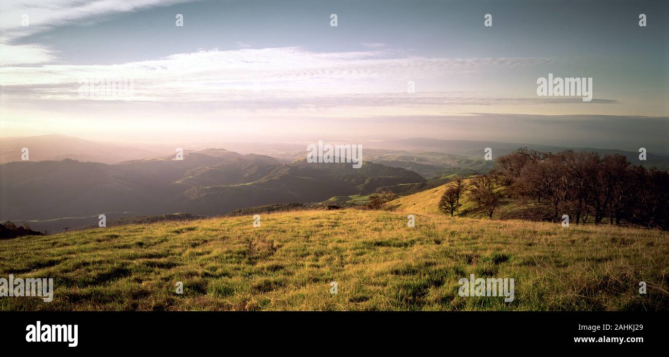 Longshot photos hi-res stock photography and images - Alamy