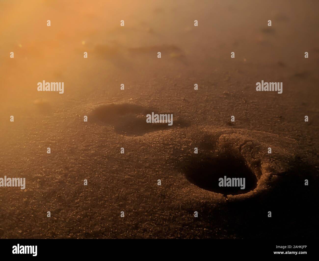 A Single Human Footprint on a Warm Beach Stock Photo - Alamy