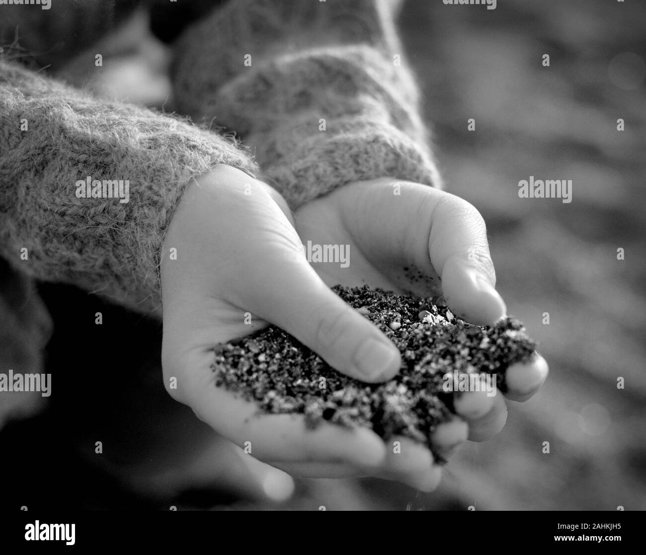 Person holding handful of grainy sand Stock Photo - Alamy