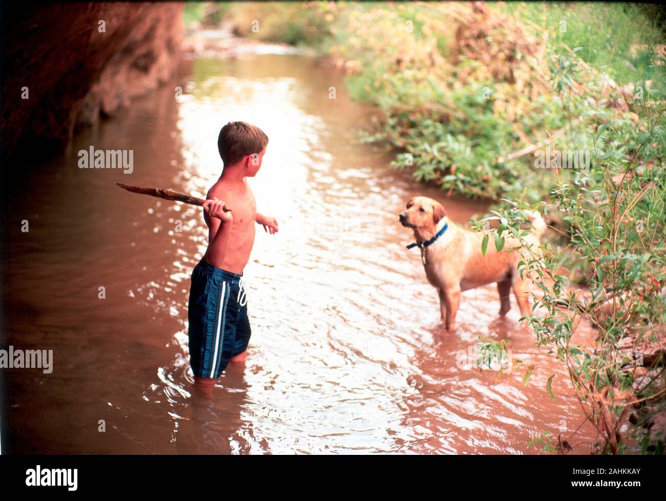 A boy is instructing his dog Stock Photo - Alamy