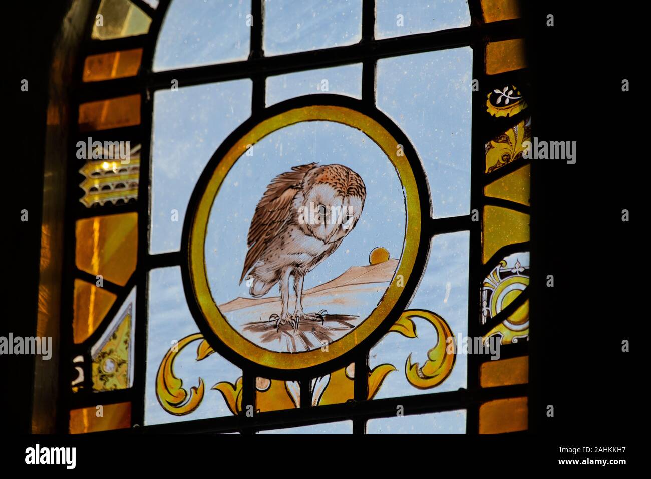 Owl in a stained glass window Stock Photo - Alamy
