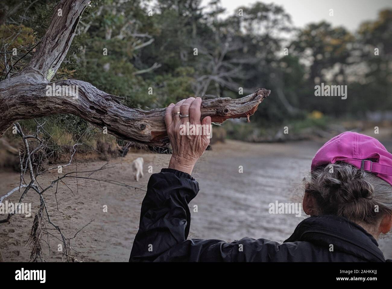 Ring old lady hand hi-res stock photography and images - Alamy