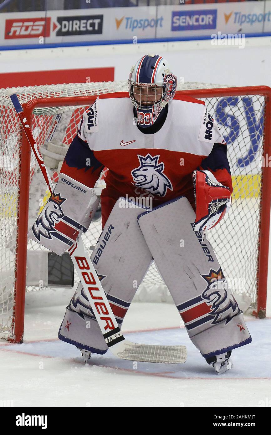 Goalkeeper Lukas Parik (CZE) in action during the 2020 IIHF World Junior Ice Hockey ...