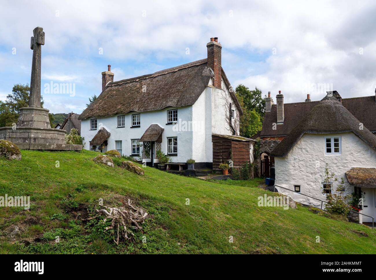 Whitewashed homes surrounding the village green in the pretty Devon ...