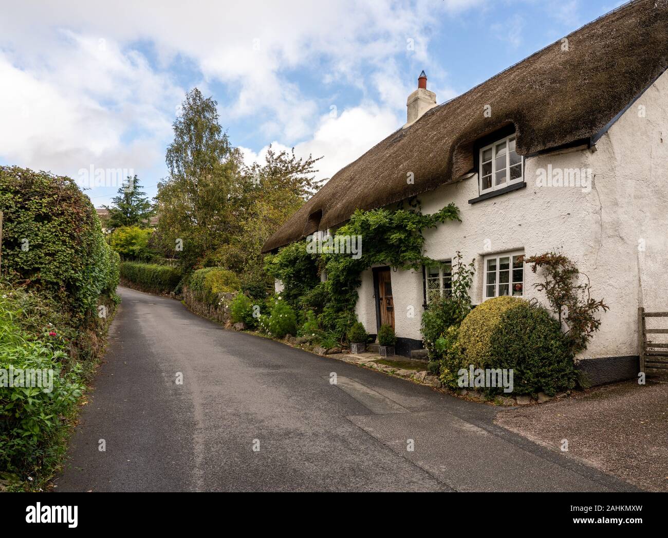 Stone home with thatched roof on small lane in the pretty Devon village ...