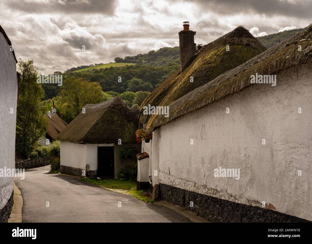 Stone homes and thatched roofs on small lane in the pretty Devon ...