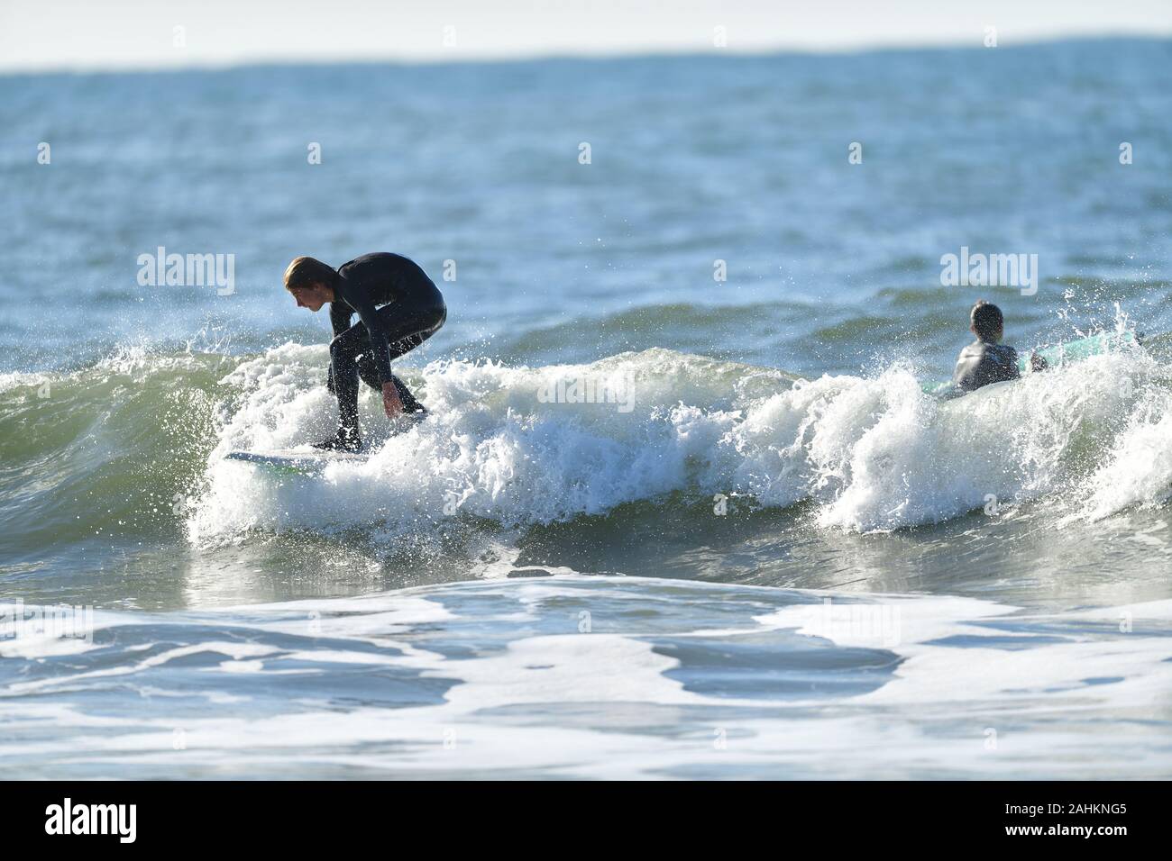 The Web Surfer Stock Photo - Alamy