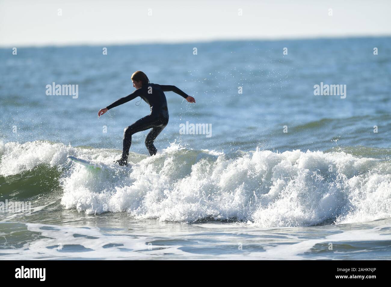 The Web Surfer Stock Photo - Alamy