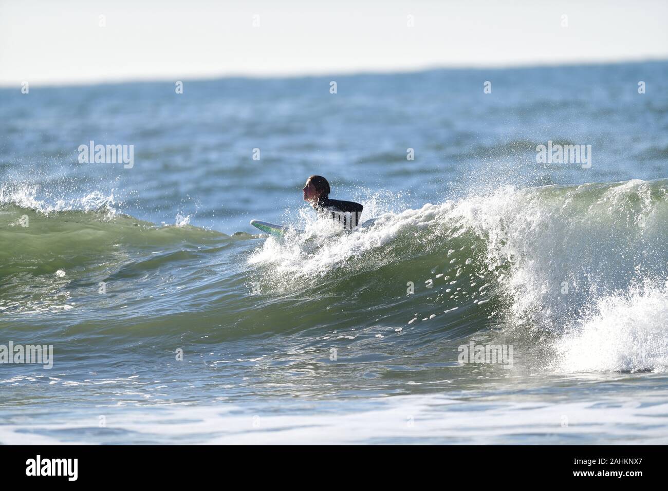 The Web Surfer Stock Photo - Alamy