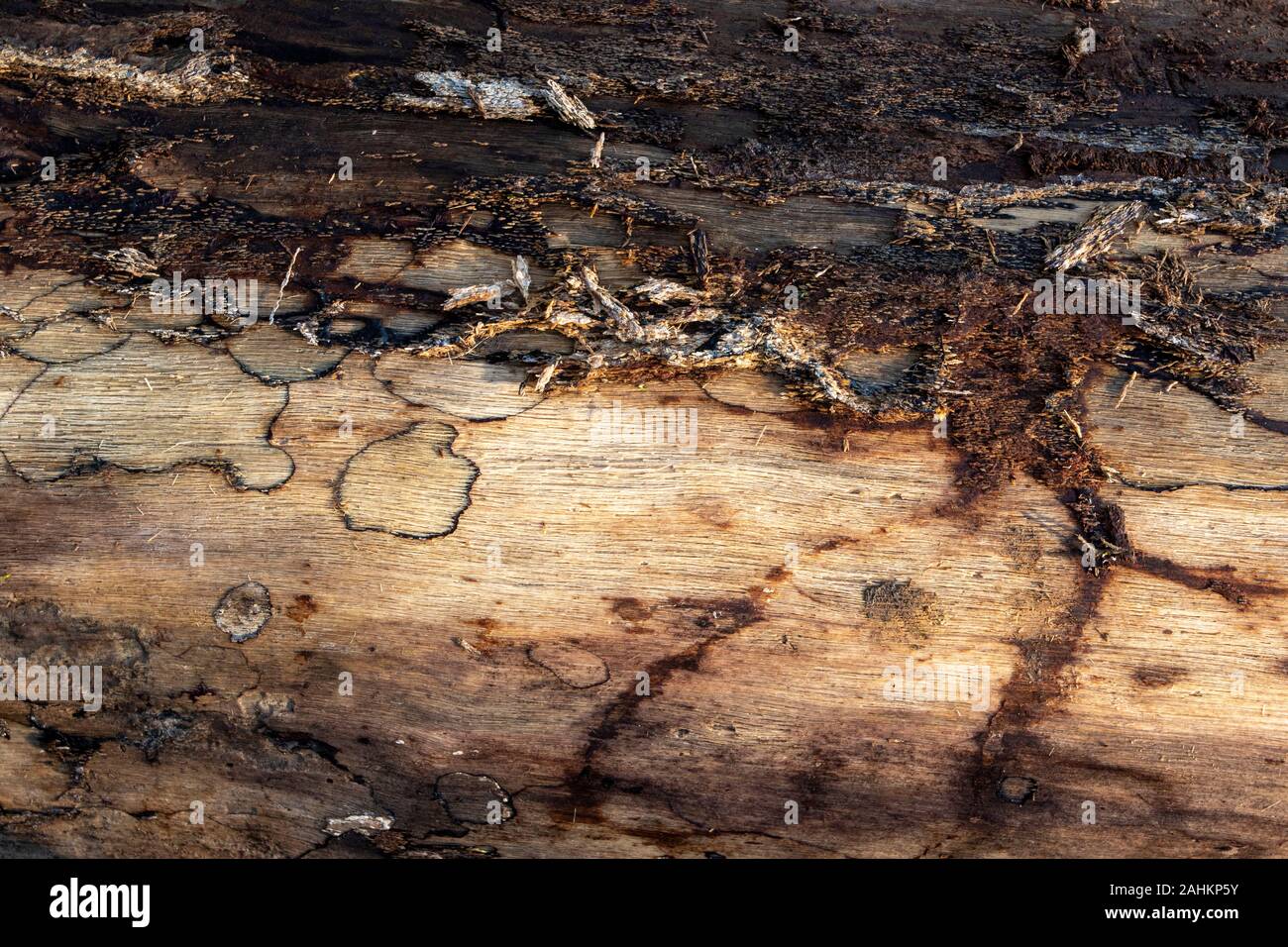 Intimate depiction hi-res stock photography and images - Alamy