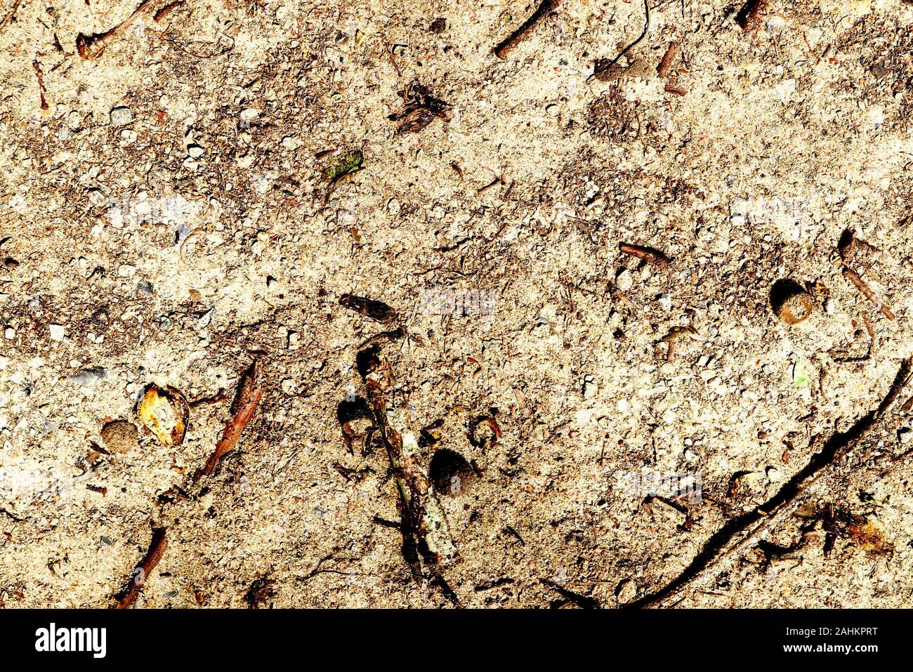 Detailed close up view on sandy ground and dirt textures in high ...