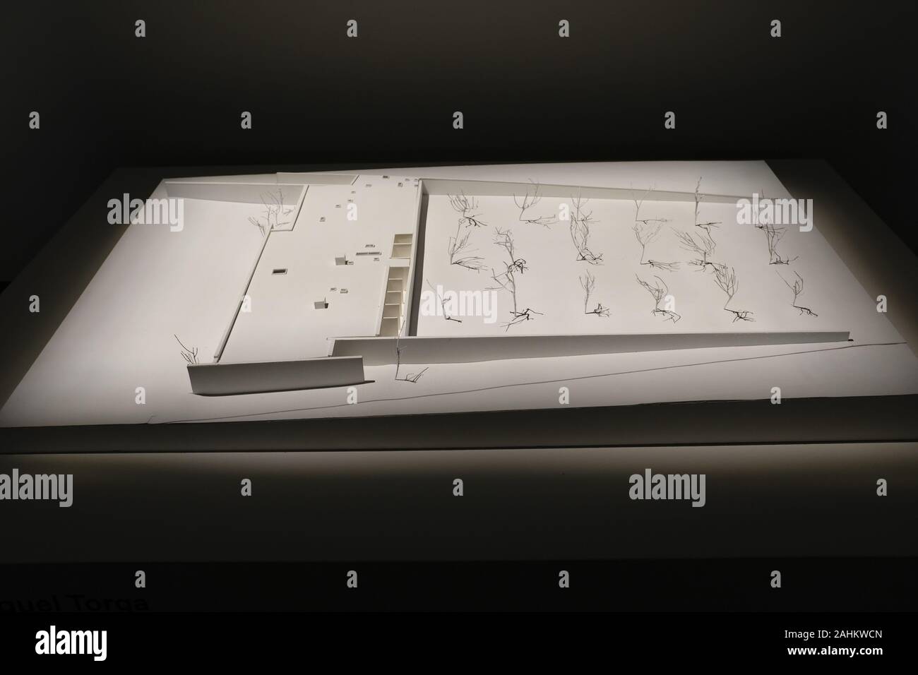 Exposition of the works of the Souto Moura architect in the House of ...