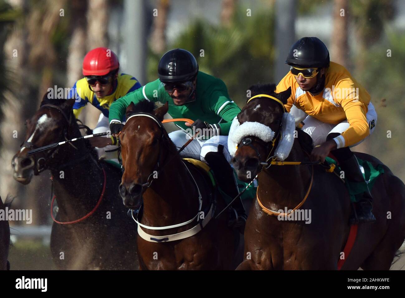Kuwait horses hi-res stock photography and images - Alamy