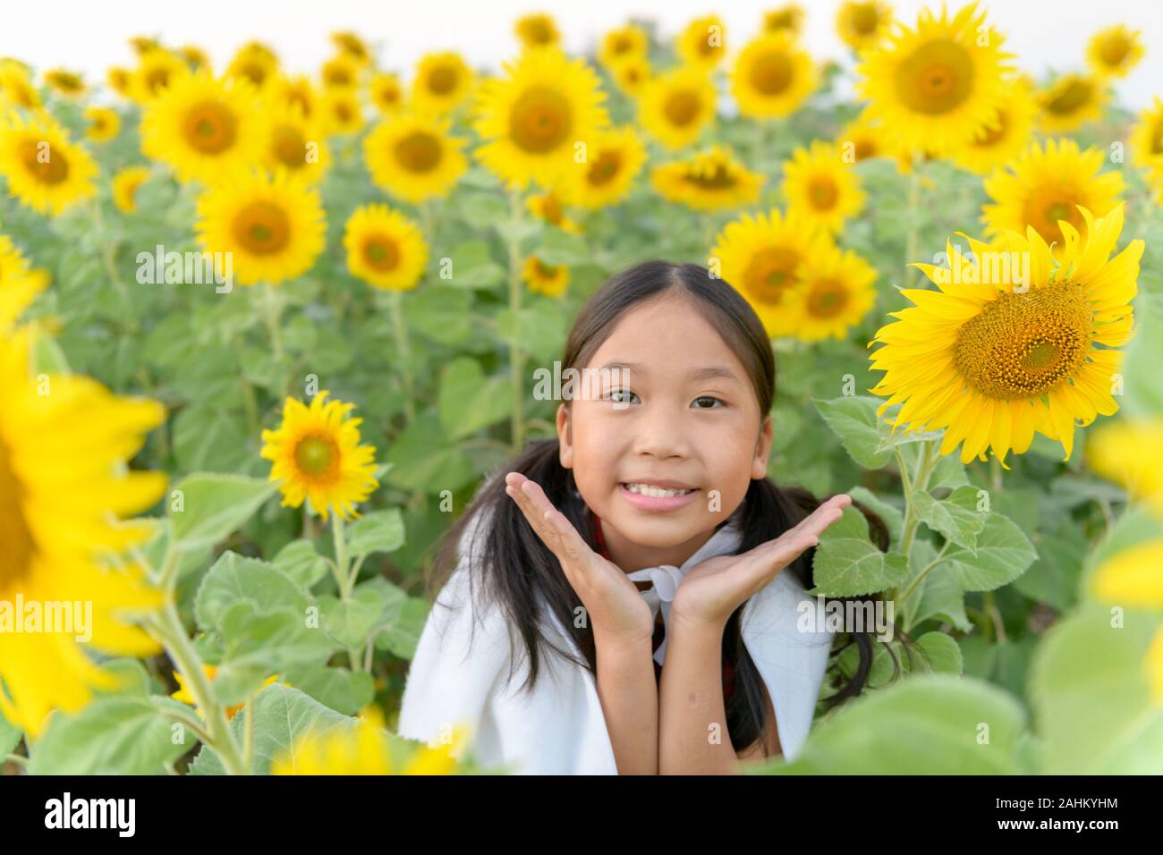 Happy cute asian girl smile with sunflower, travel and relaxation concept Stock Photo - Alamy