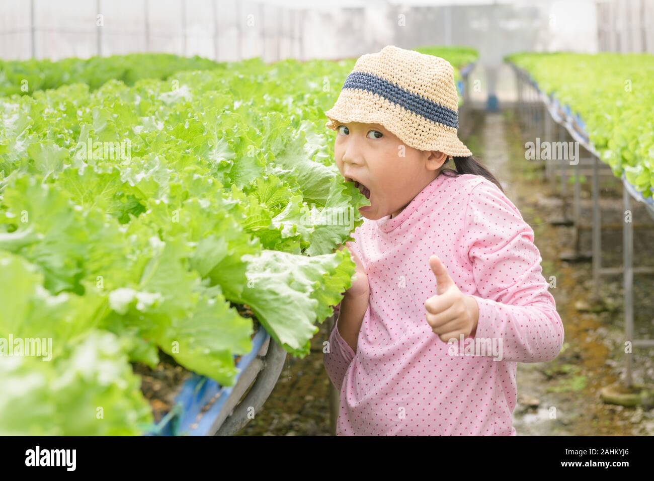Cute asian girl showing thumb up and eating organic vegetable at farm ...