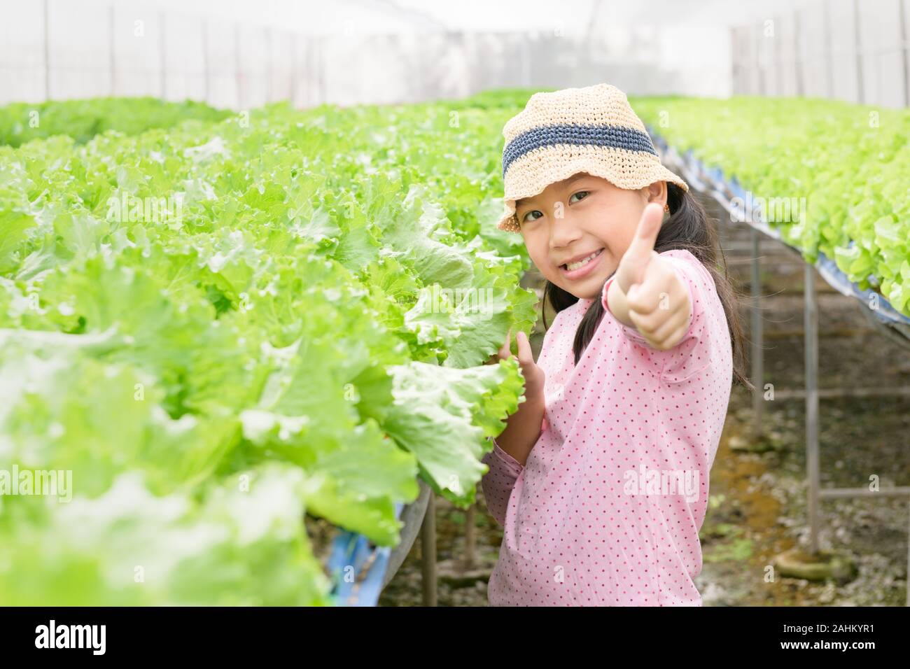 Cute asian girl showing thumb up at organic vegetable farm at Lop buri ...