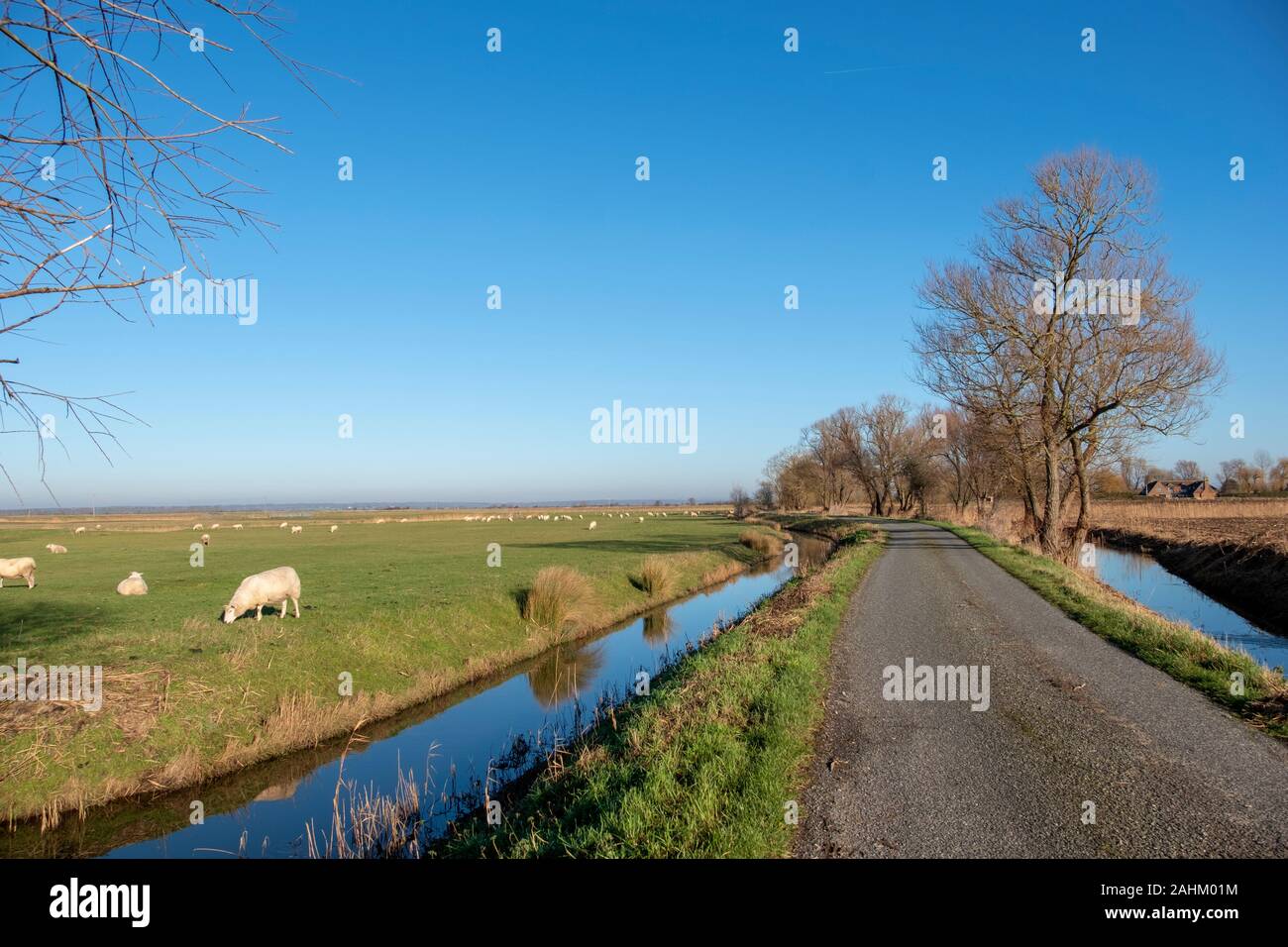 Kent countryside in winter, a rural road on Romney Marsh, with deep ...