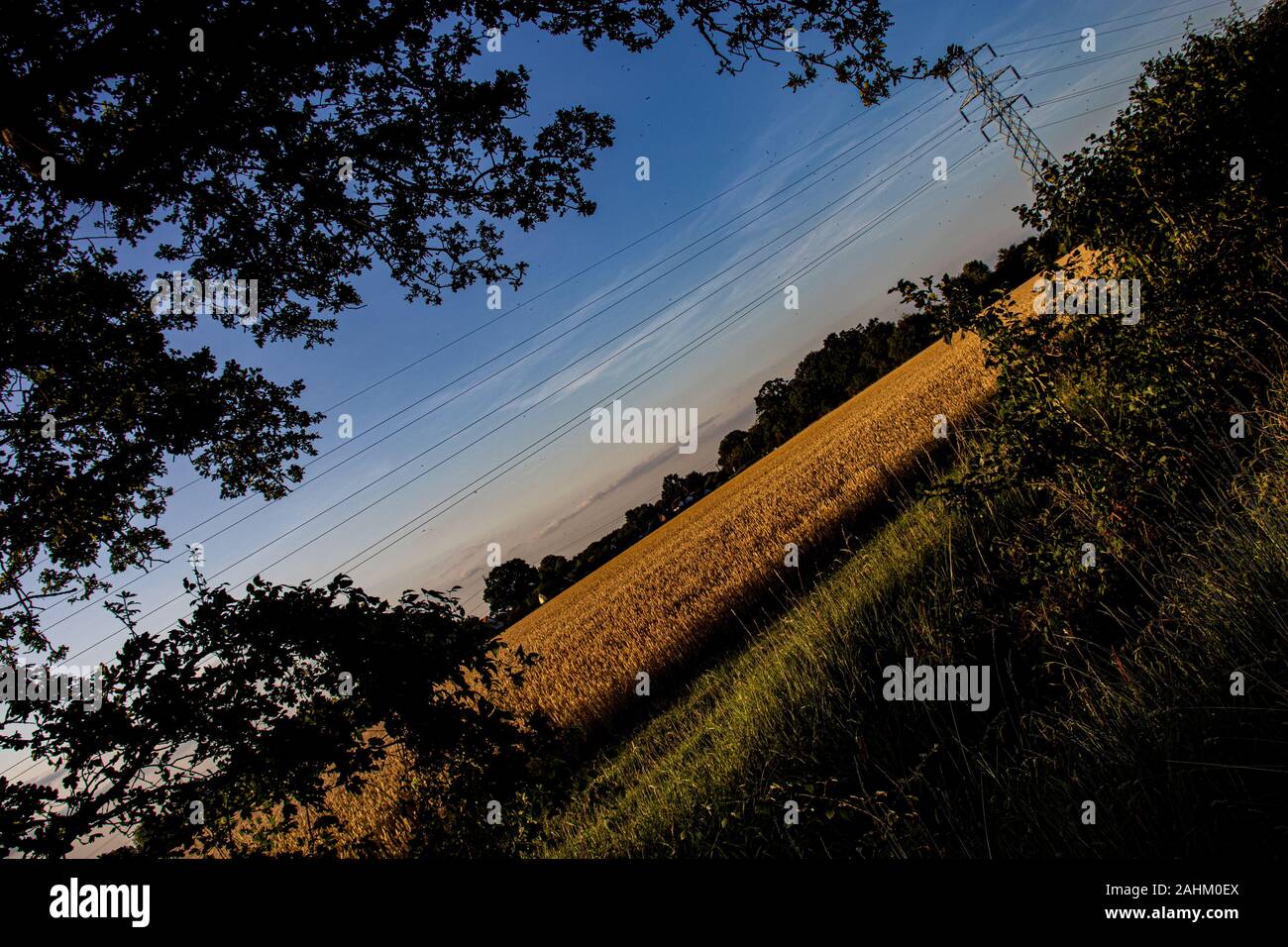 Wheat power lines hi-res stock photography and images - Alamy