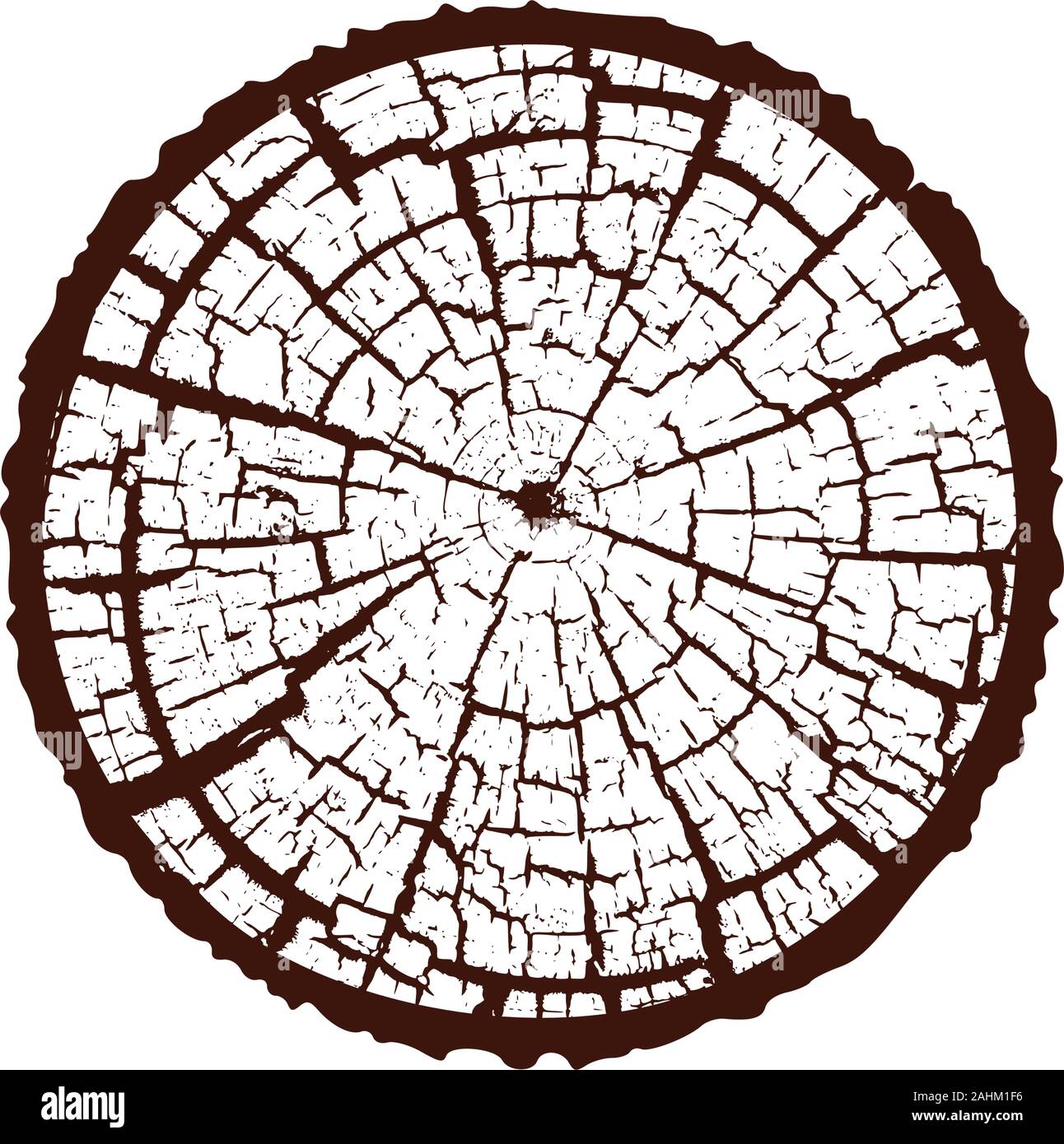 Tree trunk with cracks, vector illustration isolated on white ...