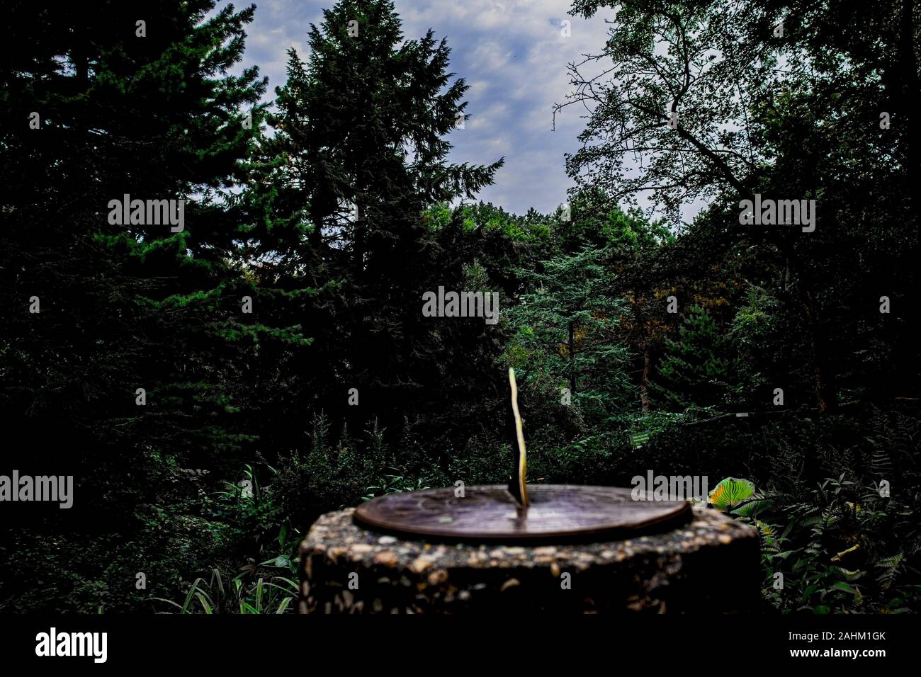 Boston wildlife hi-res stock photography and images - Alamy
