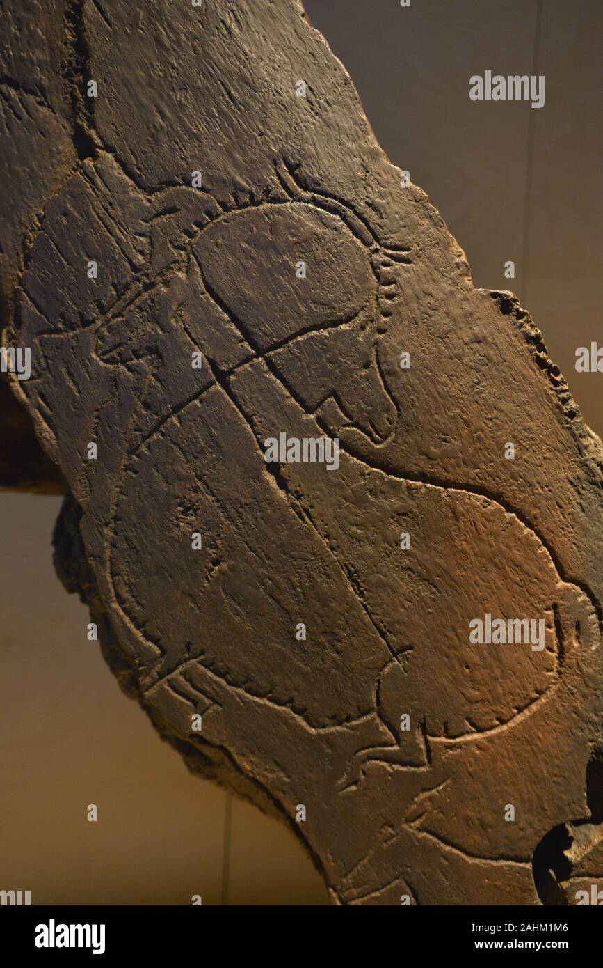 Foz coa paleolithic drawing hi-res stock photography and images - Alamy