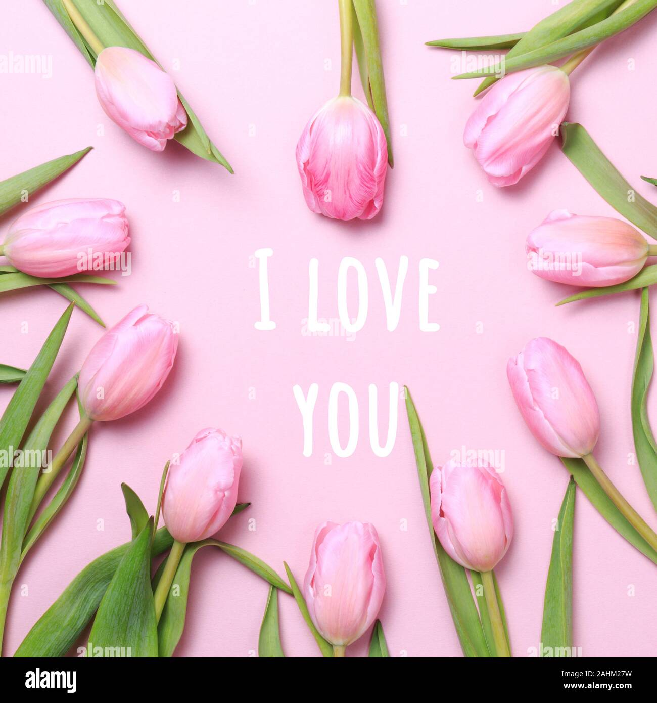 I love you wording with pink tulips on the pink background. Flat lay ...