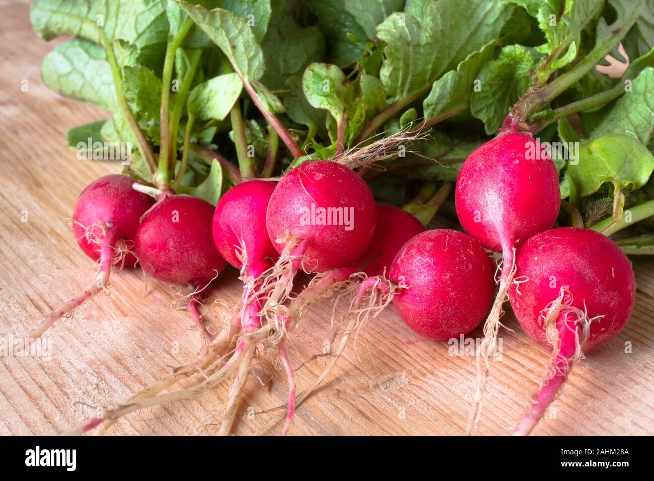 Garden red radish on wooden table hi-res stock photography and images ...