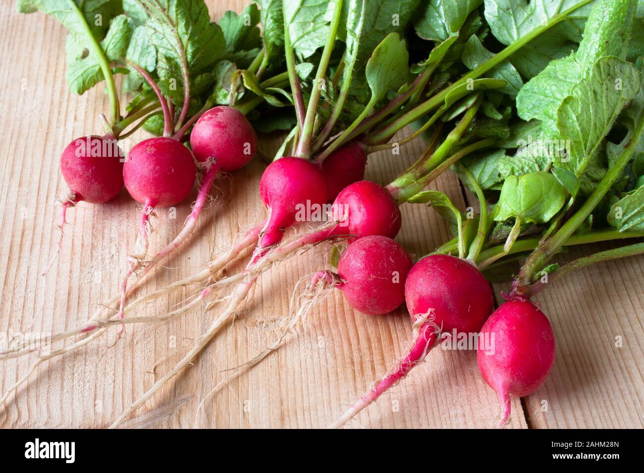 Garden red radish on wooden table hi-res stock photography and images ...
