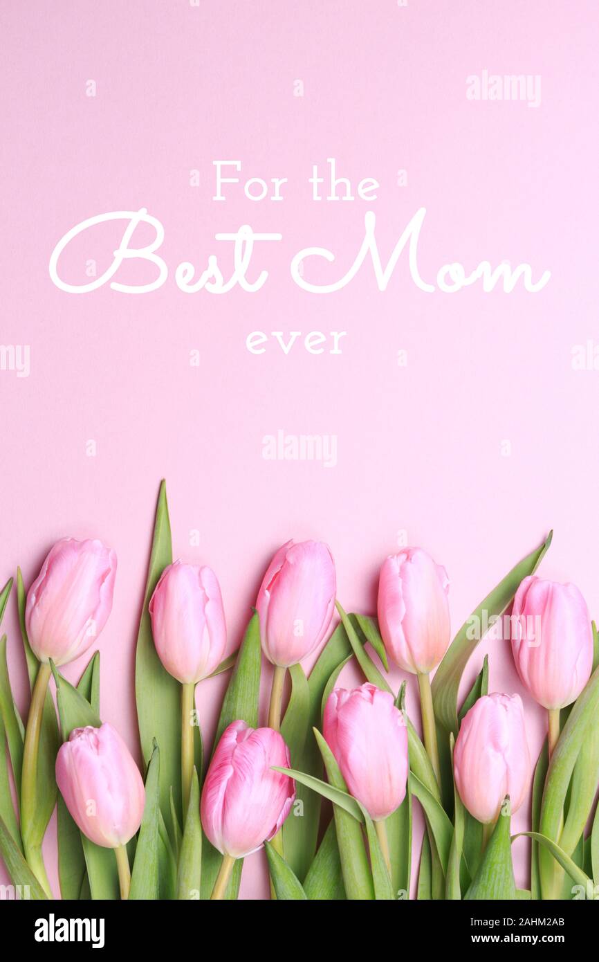 For the best Mom ever wording with pink tulips on the pink background ...