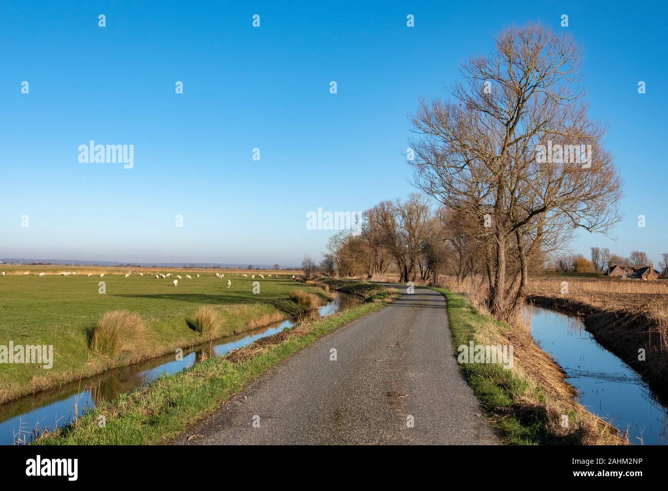 Kent countryside in winter, a rural road on Romney Marsh, with deep ...