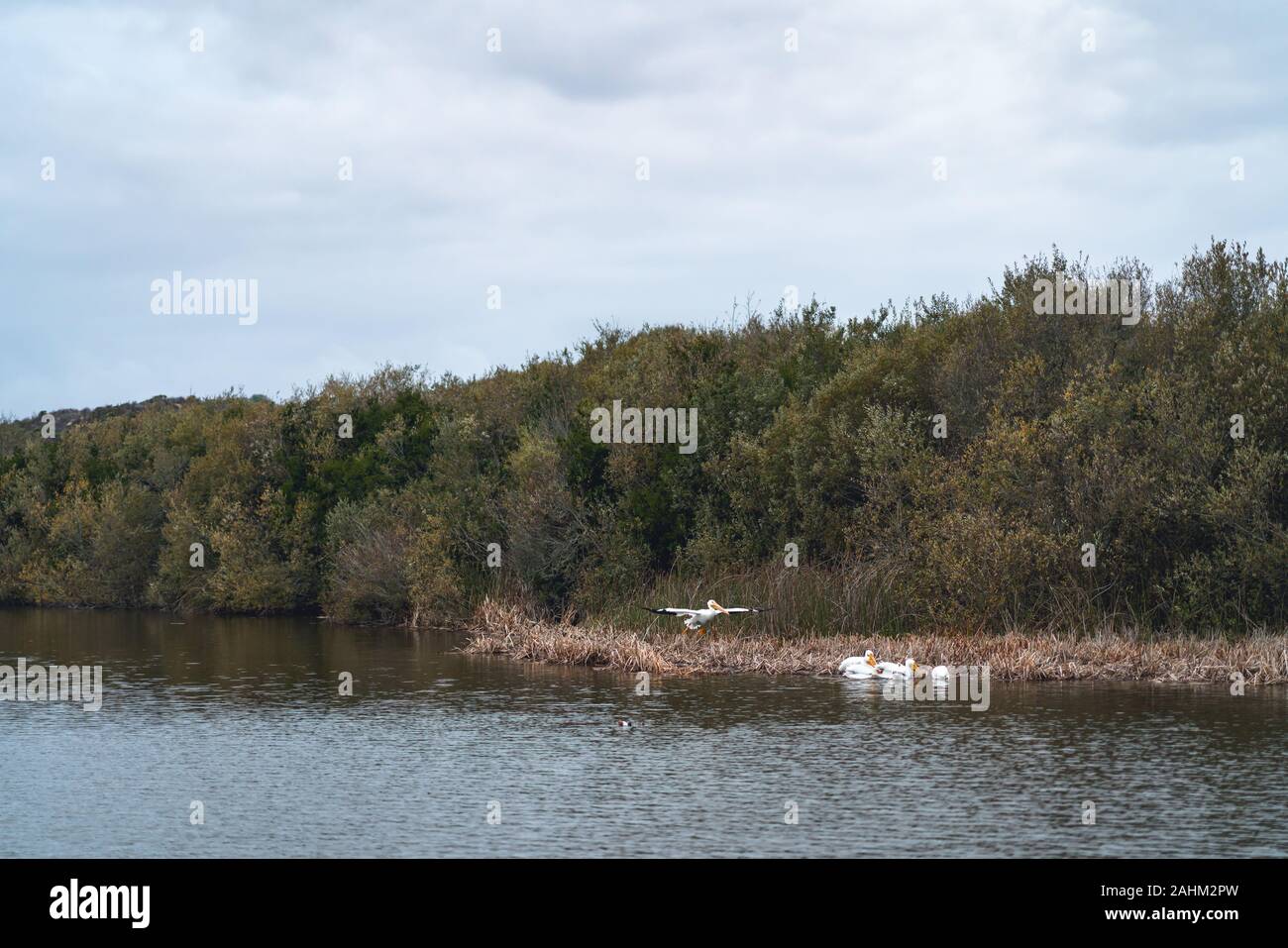 California oso flaco state park hi-res stock photography and images - Alamy