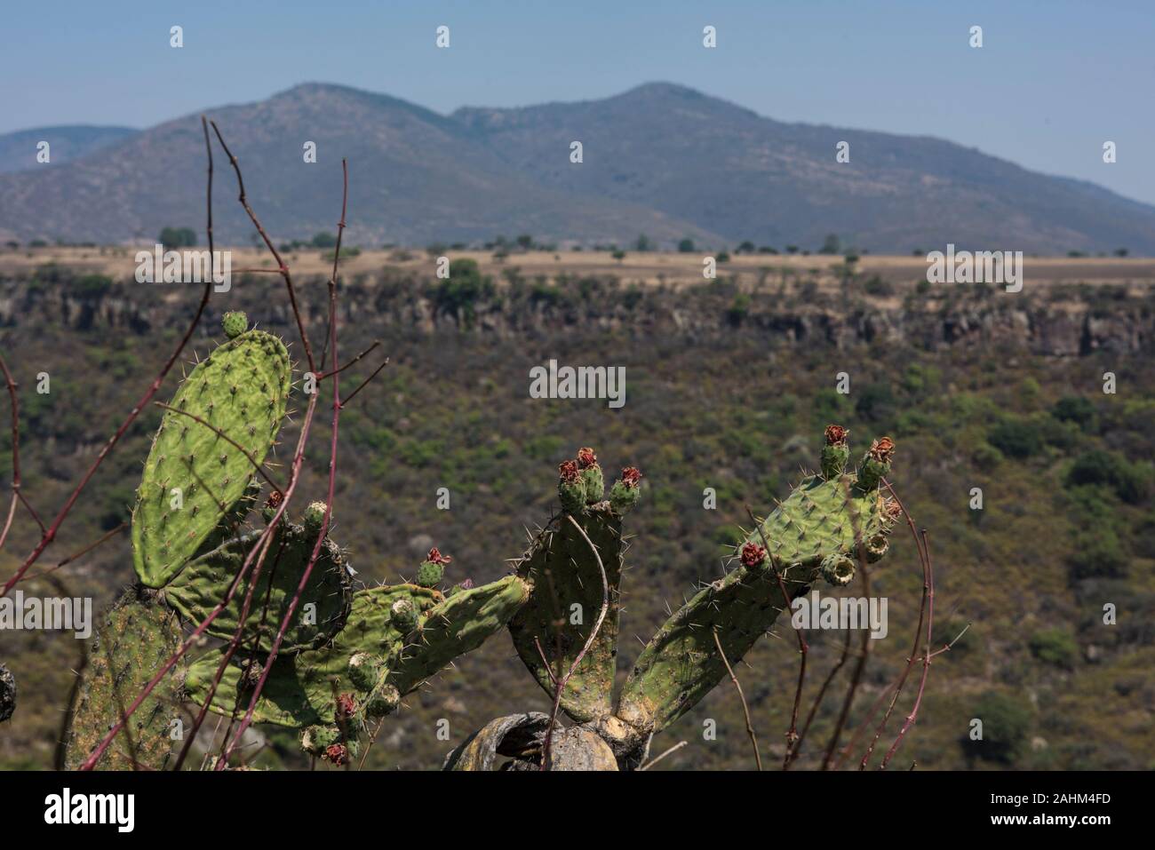 Sierra Gorda Landscape at Queretaro State Stock Photo - Alamy