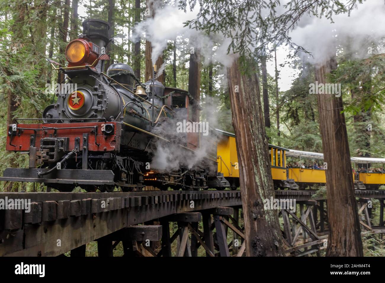Crossing Trains Trestles