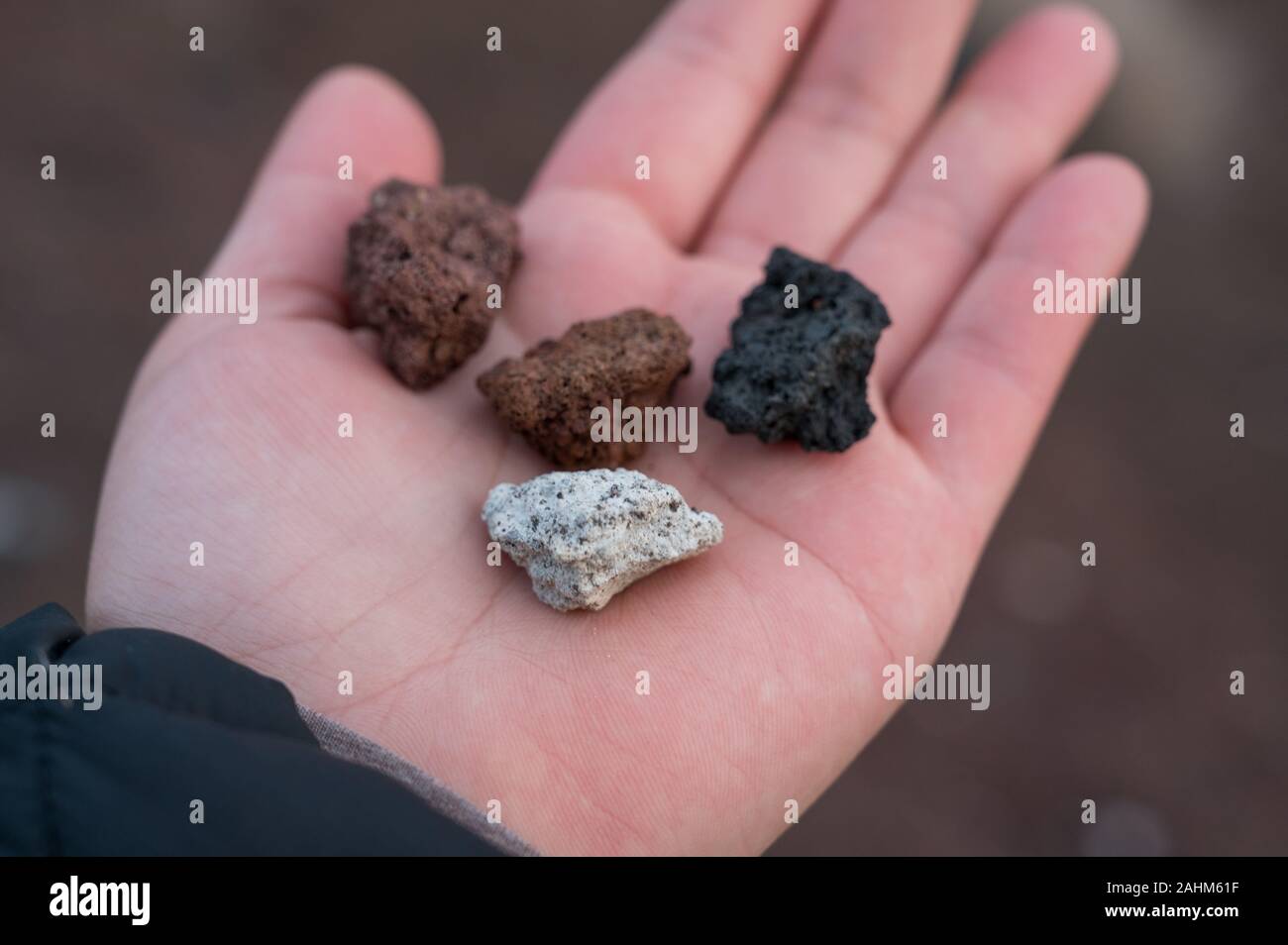 Hand holding different coloured lava rocks - white, brown and black ...
