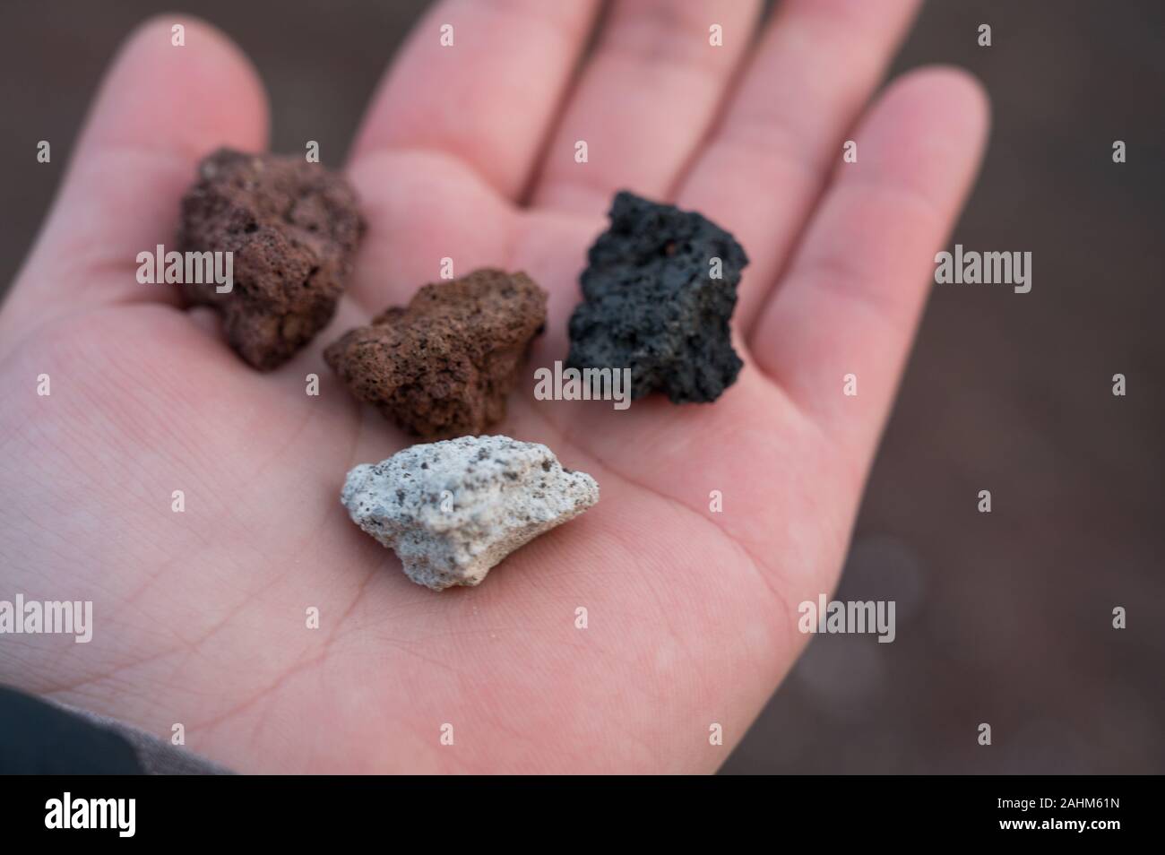 Hand holding different coloured lava rocks - white, brown and black ...